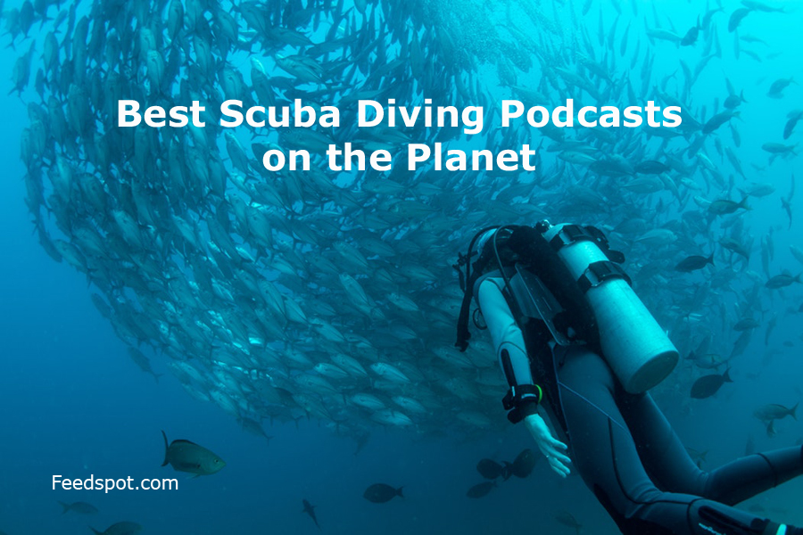 15 Best Scuba Diving Podcasts You Must Follow in 2024